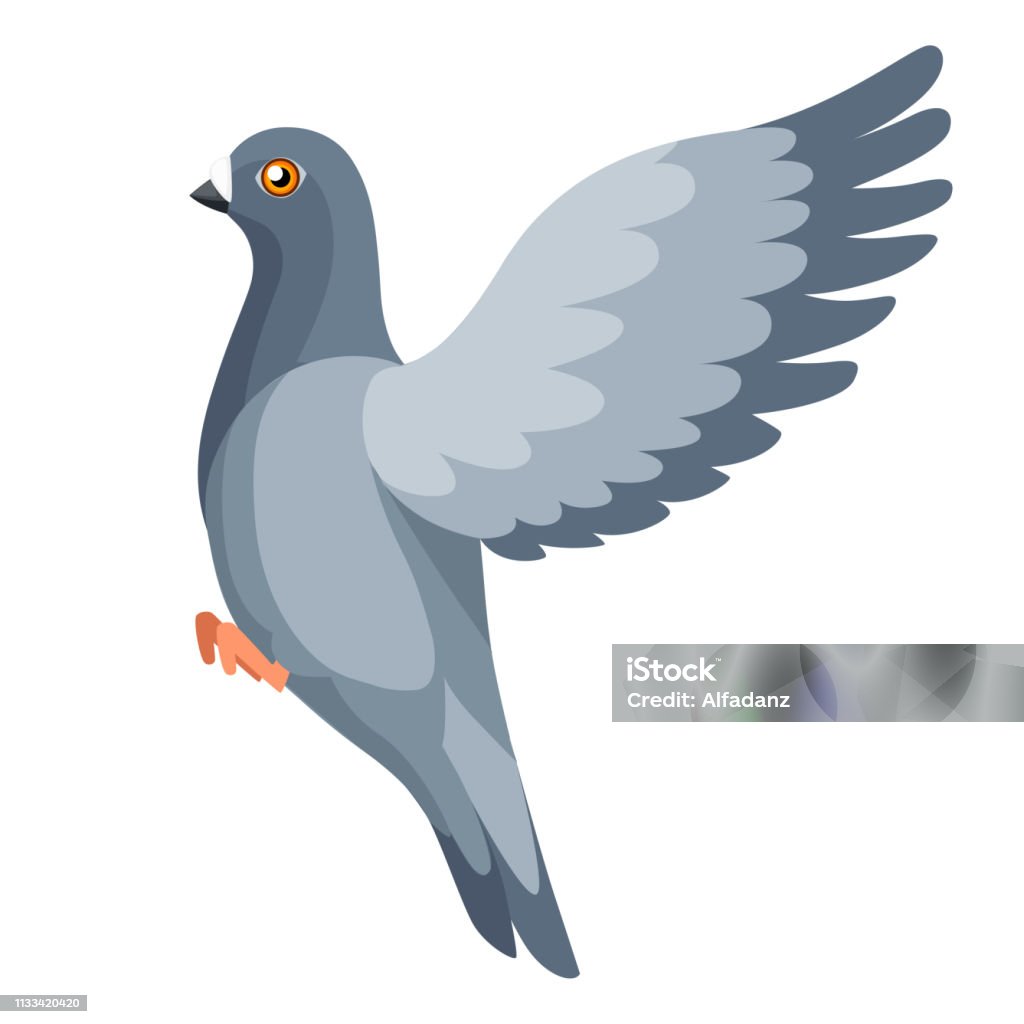 Burung Merpati Terbang Merpati Mengepakkan Sayapnya Desain Karakter