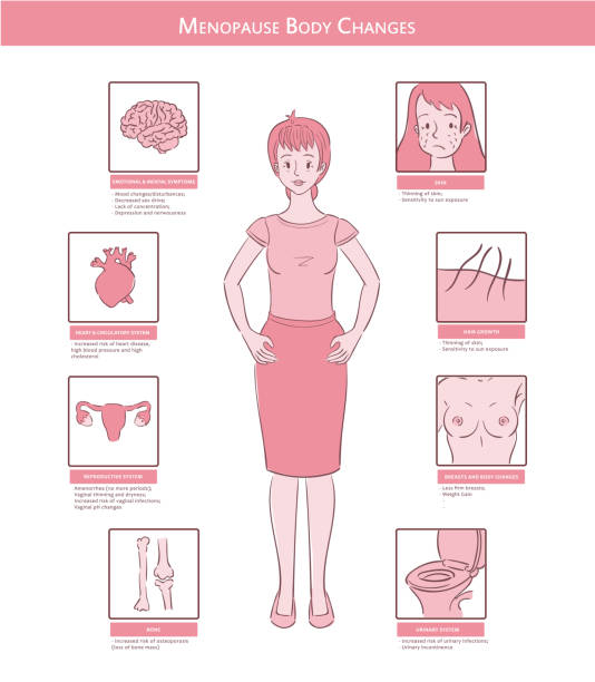 420 Menopause Symptoms Stock Illustrations Royalty Free Vector