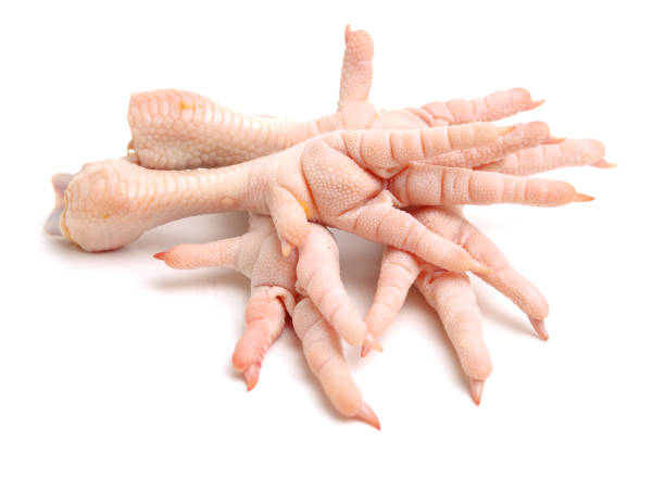 Chicken Feet Pictures | Download Free Images on Unsplash
