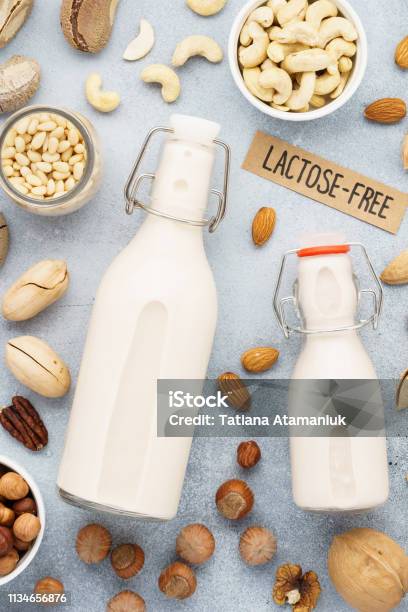 Susu Kacang Dan Berbagai Kacangkacangan Pengganti Susu Gratis Laktosa ... Susu Kacang Dan Berbagai Kacangkacangan Pengganti Susu Gratis Laktosa ...