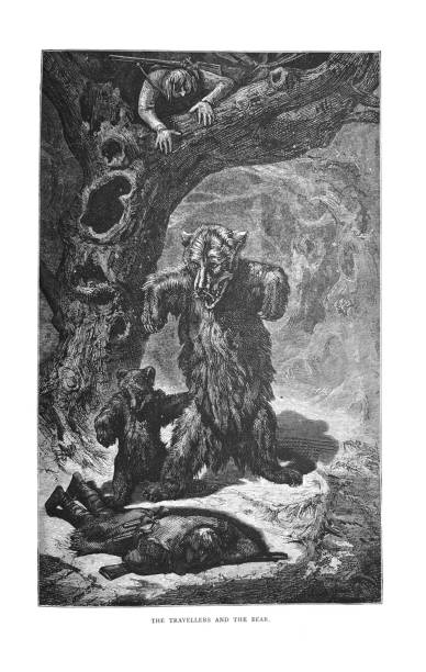 Download Bear, Man, Fantasy. Royalty-Free Stock Illustration Image ...