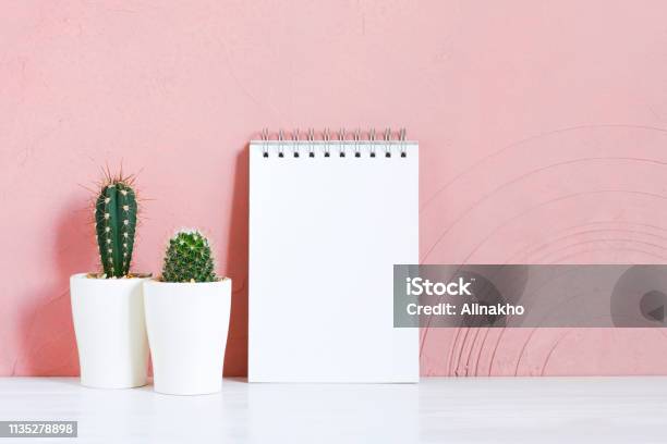 Notepad Putih Kosong Dan Kaktus Di Atas Meja Kayu Foto Stok Unduh