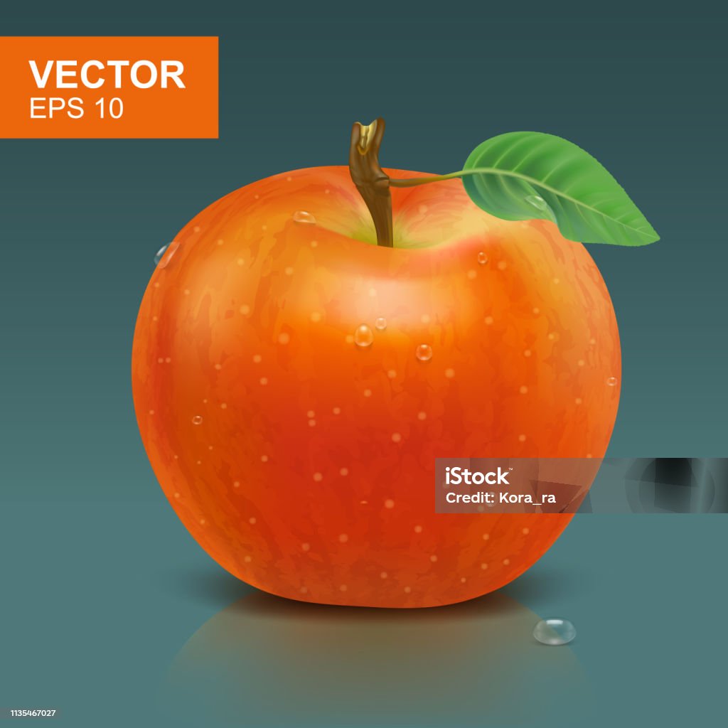 Clipart Vektor Apel Merah Utuh Yang Realistis Ikon Dengan Daun Dan