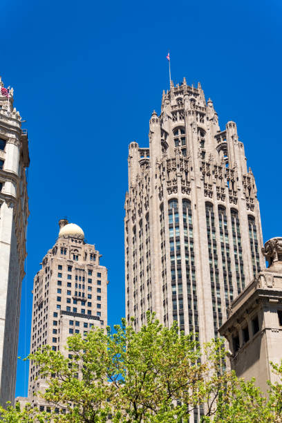 Tribune Pictures | Download Free Images on Unsplash