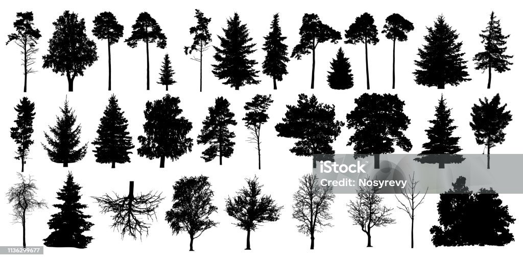 Silhouette Darbre Vecteur Noir Arbres De Forêt De Jeu Isolés Sur Le