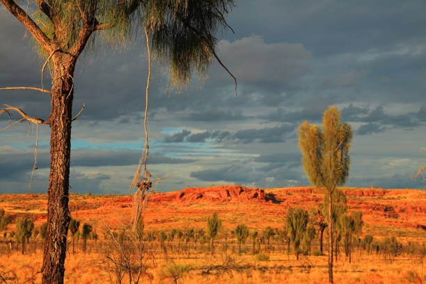 470+ Nationalpark Watarrka Stock Photos, Pictures & Royalty-Free Images ... 470+ Nationalpark Watarrka Stock Photos, Pictures & Royalty-Free Images ...