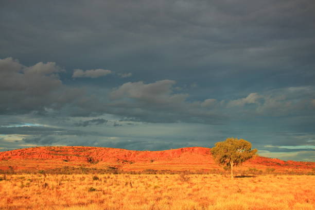 470+ Nationalpark Watarrka Stock Photos, Pictures & Royalty-Free Images ... 470+ Nationalpark Watarrka Stock Photos, Pictures & Royalty-Free Images ...