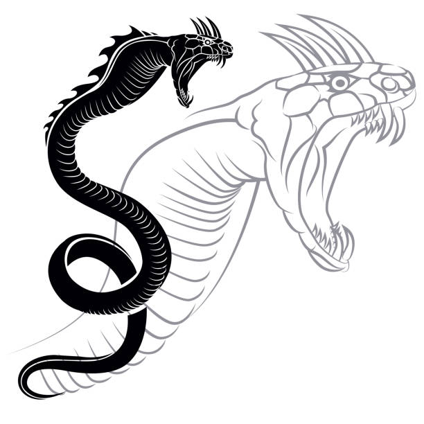 120+ Chinese Cobra Snake Illustrations, Royalty-Free Vector Graphics ... 120+ Chinese Cobra Snake Illustrations, Royalty-Free Vector Graphics ...