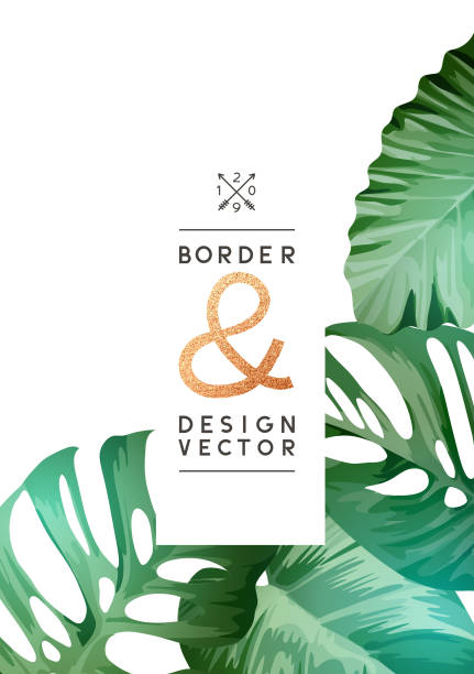 50+ Customisable Stock Illustrations, Royalty-Free Vector Graphics ... 50+ Customisable Stock Illustrations, Royalty-Free Vector Graphics ...