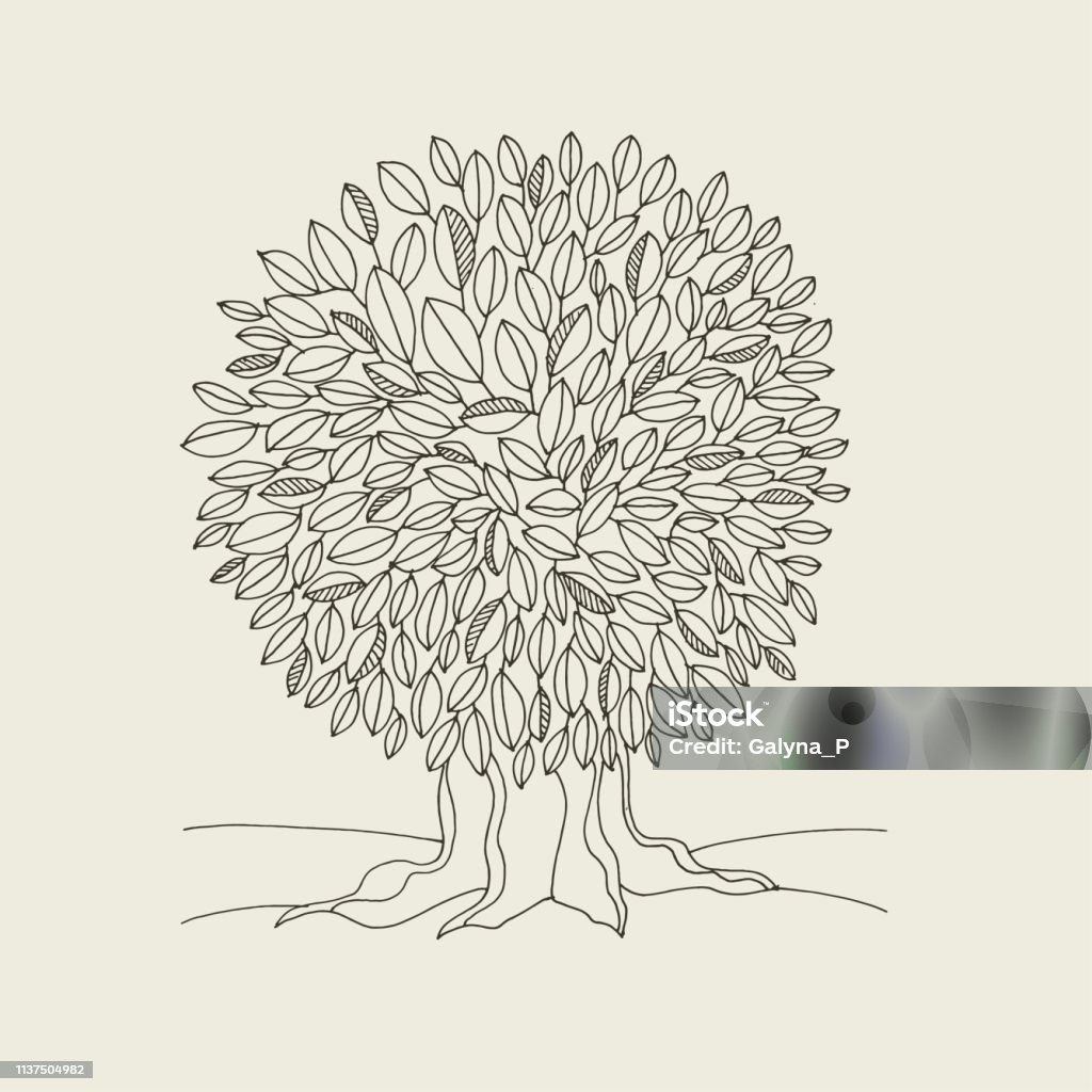 Ilustración De La Ilustración Vectorial Dibujada A Mano De Oak Tree Y Más Vectores Libres De