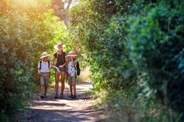 Treasure Hunt Pictures [HQ] | Download Free Images on Unsplash