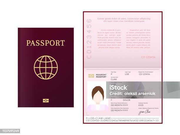 Livret International De Passeport Biométrique Féminin Et Modèle De