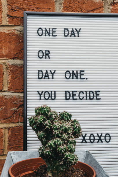 One Day Pictures | Download Free Images on Unsplash