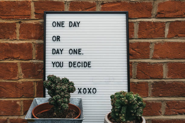 One Day Pictures | Download Free Images on Unsplash