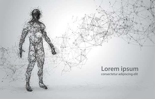 Armature De Fil 3d Corps Humain Polygonal Low Poly Vecteurs Libres De