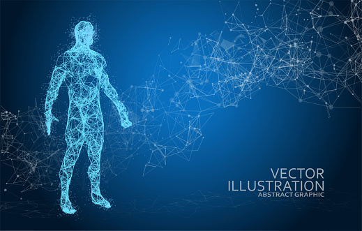 Armature De Fil 3d Corps Humain Polygonal Low Poly Vecteurs Libres De
