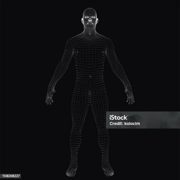 Armature De Fil 3d Corps Humain Polygonal Low Poly Vecteurs Libres De