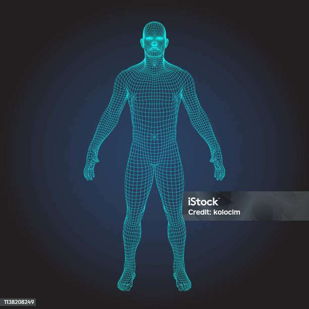 Armature De Fil 3d Corps Humain Polygonal Low Poly Vecteurs Libres De