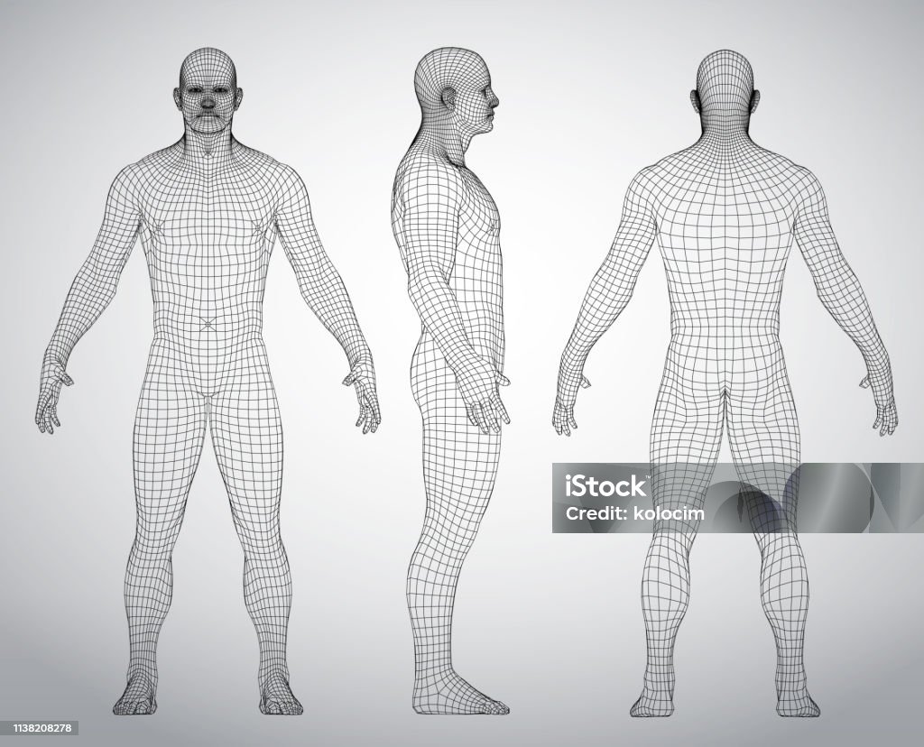 Armature De Fil 3d Corps Humain Polygonal Low Poly Vecteurs Libres De