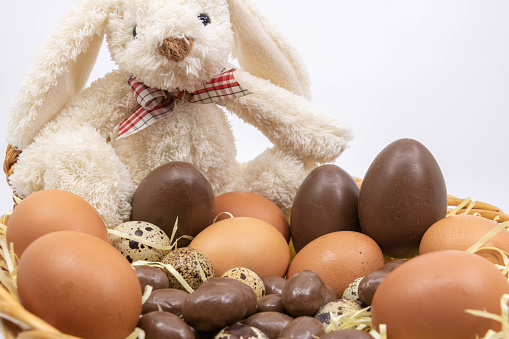 Photo Libre De Droit De Lapin De Pâques Vous Présente Sa Future