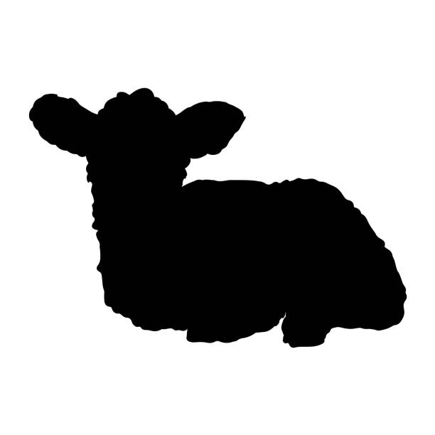 Little Lamb Clipart Silhouette