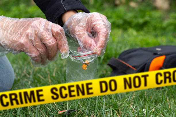 Free Stock Photo of Evidence Definition Displays Crime Scene ...