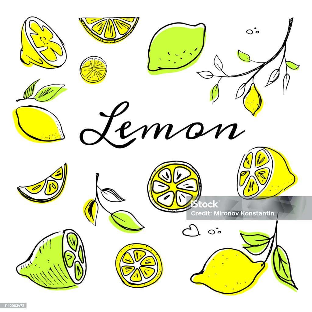 Buahbuahan Yang Digambar Tangan Ilustrasi Lemon Set Vektor Diwarnai
