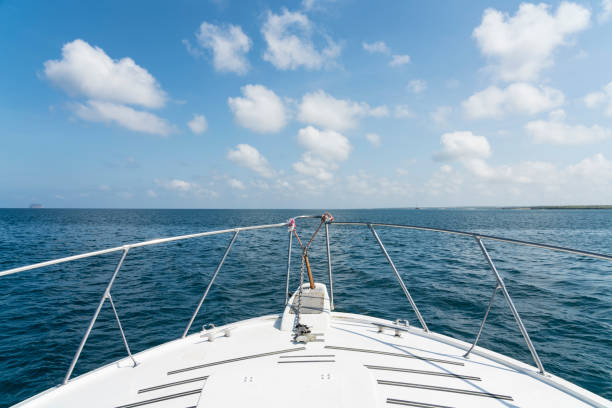 Free Stock Photo of View of Water From a Boat | Download Free Images ...
