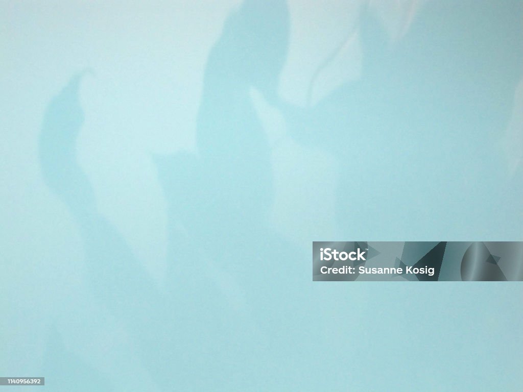 Turquoise Elegant Background 5 Stock Photo - Download Image Now ... Turquoise Elegant Background 5 Stock Photo - Download Image Now ...