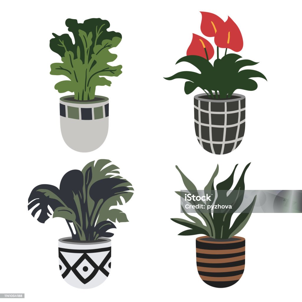 Vektor Tangan Ditarik Pot Bunga Koleksi Taman Rumah Elemen Desain