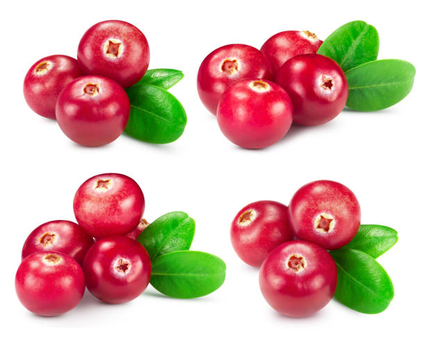 Free picture: cranberries, fruit