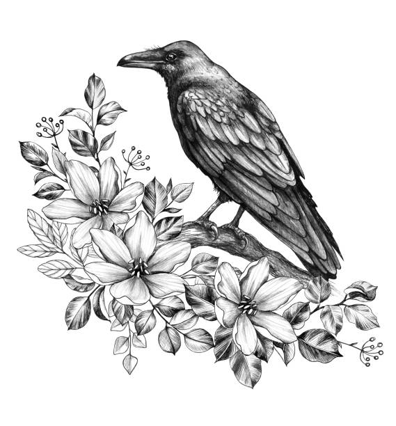 8 300 Grand Corbeau Stock Illustrations Graphiques Vectoriels Libre De Droits Et Clip Art Istock