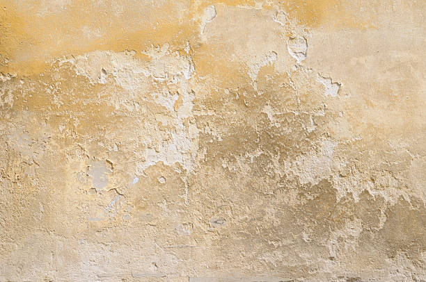 Plaster Wall Pictures | Download Free Images on Unsplash