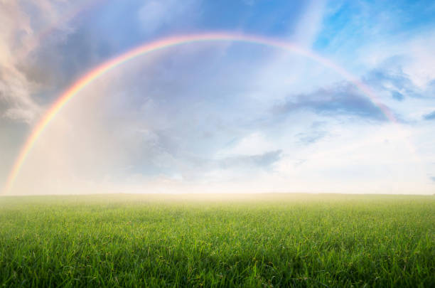 1000+ Rainbow Sky Pictures | Download Free Images on Unsplash
