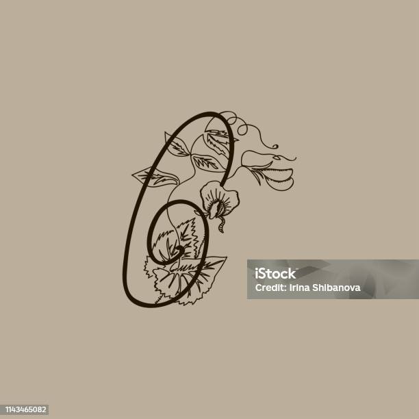 Vector Hand Drawn Floral Nomor 6 Monogram Atau Logo Angka Dengan Bunga