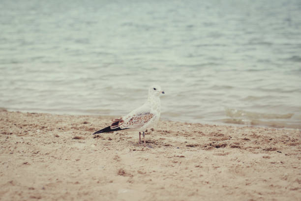 500+ Low Contrast Pictures | Download Free Images on Unsplash
