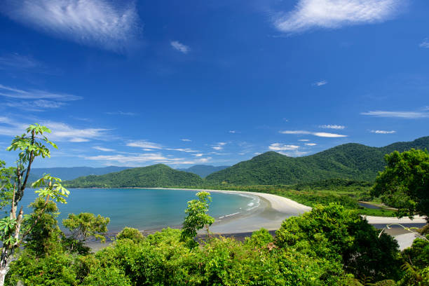 Ubatuba Pictures | Download Free Images on Unsplash
