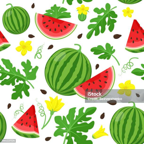 Motif Sans Soudure De Melon Deau Dans La Conception Plate Tranches De