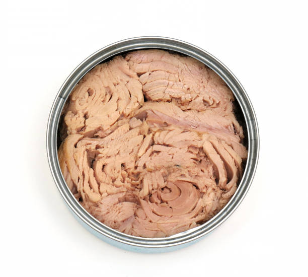 Tuna Can Pictures | Download Free Images on Unsplash