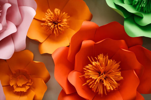 30,000+ Paper Flower Pictures | Download Free Images on Unsplash