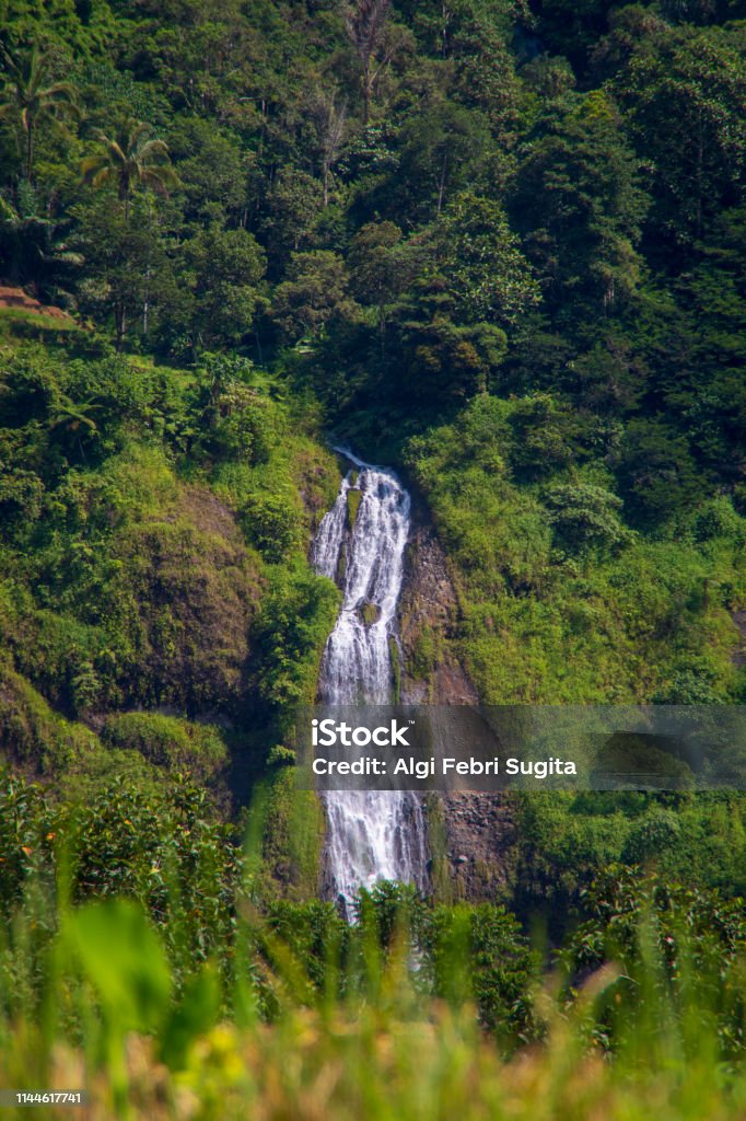Air Terjun Indah Di Desa Naringgul Di Cianjur Jawa Barat Indonesia Foto