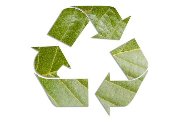 Recyling Pictures | Download Free Images on Unsplash
