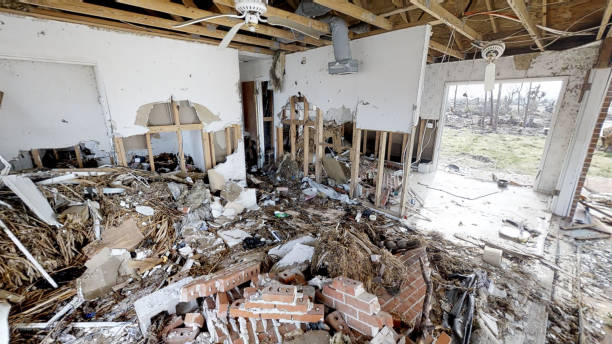 Hurricane Damage Pictures | Download Free Images on Unsplash