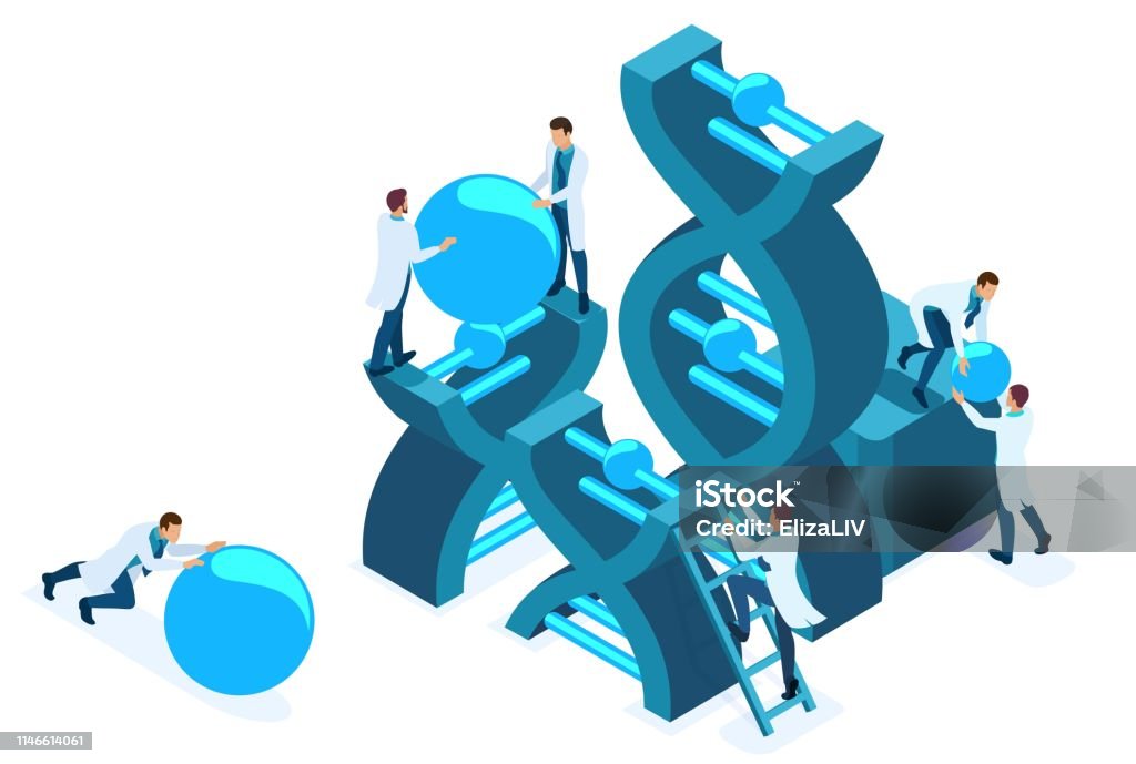 Rekayasa Genetika Isometrik Struktur Dna Pekerja Medis Ilmuwan Konsep ... Rekayasa Genetika Isometrik Struktur Dna Pekerja Medis Ilmuwan Konsep ...