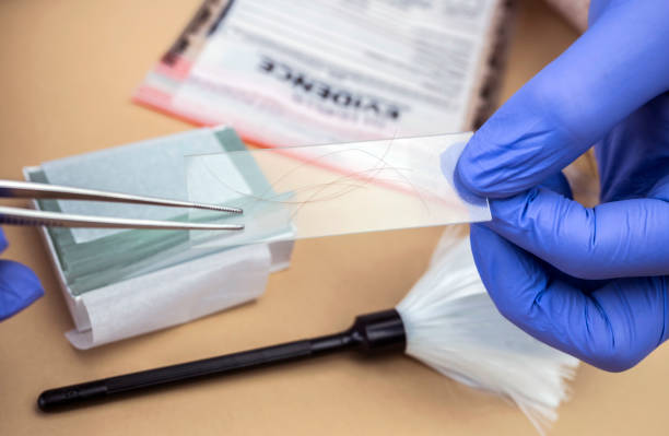 890+ Murder Scene Discovery Stock Photos, Pictures & Royalty-Free ... 890+ Murder Scene Discovery Stock Photos, Pictures & Royalty-Free ...