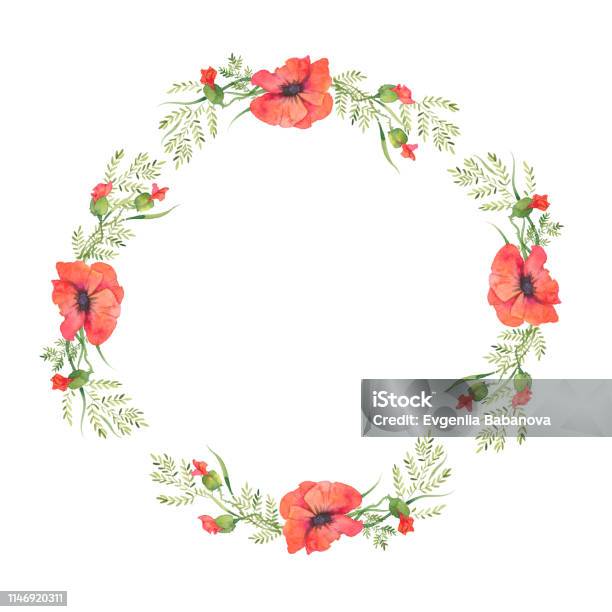 Karangan Bunga Poppy Merah Bunga Tunas Dan Daun Ilustrasi Cat Air