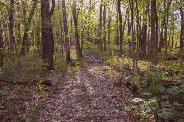 Campgrounds Pictures | Download Free Images on Unsplash