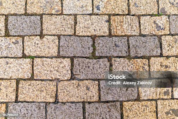 Tekstur Ubin Trotoar Beraneka Warna Tekstur Pavers Batu Buatan Dengan