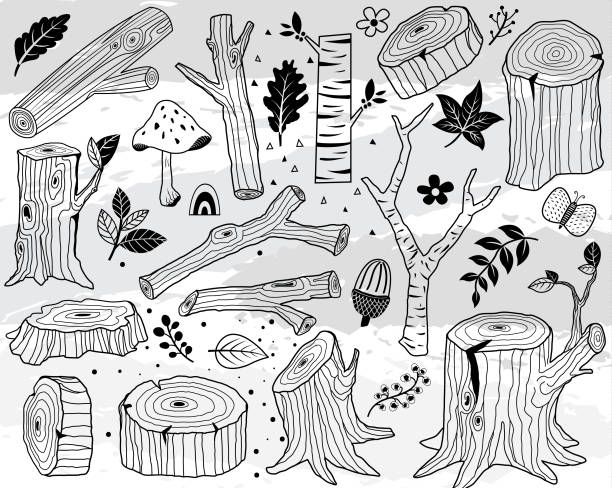 16 200 Ecorce Arbre Stock Illustrations Graphiques Vectoriels Libre