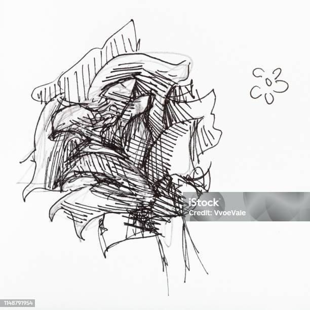 Croquis De Fleur Dessiné À La Main Par Lencre Noire Vecteurs Libres De